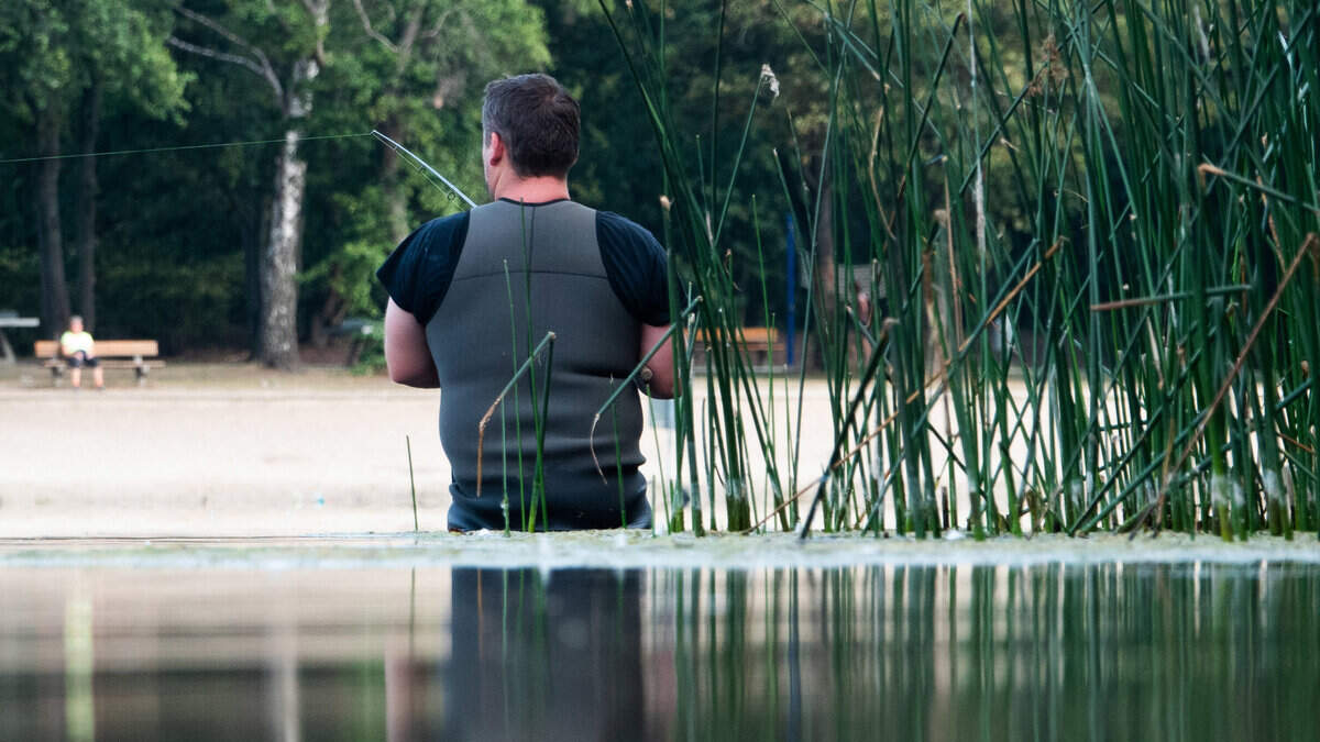 Immer mehr wollen ihren Fisch selbst angeln | Aachener Zeitung