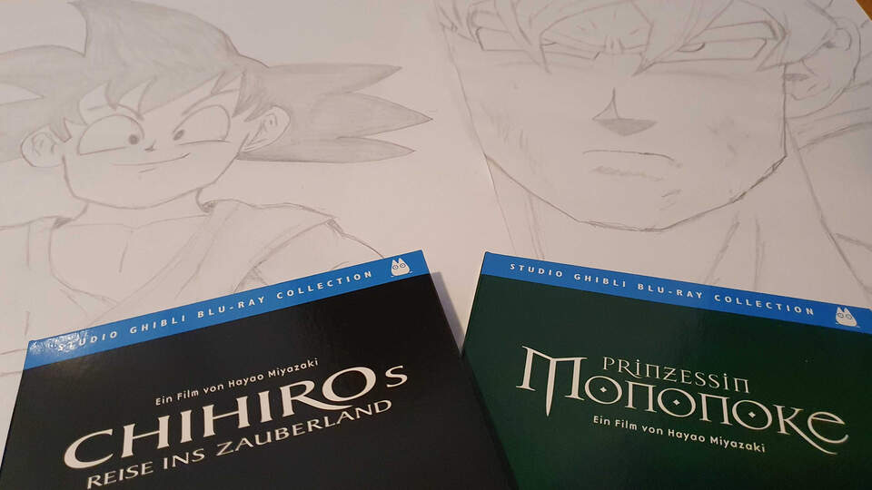 Abenteuer im Anime-Style erleben | Aachener Zeitung