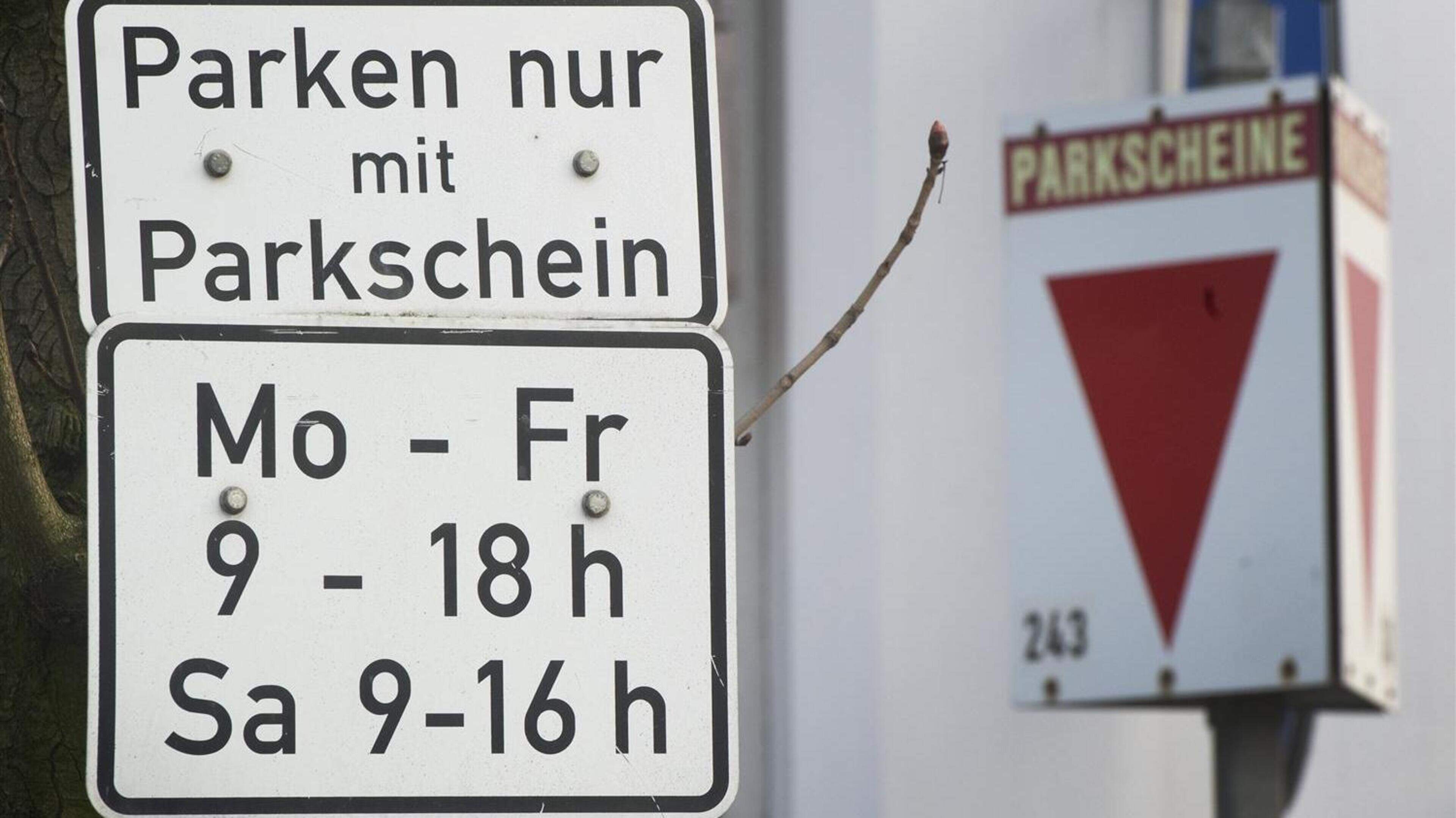 Postsie Wollen Auf Einem Platz Mit Parkscheinautomat Parken
