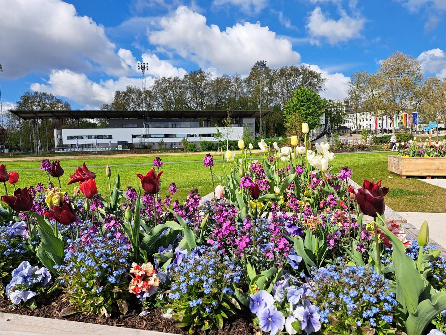 Landesgartenschau Neuss 2026: Mit Blumen und Kunst zum neuen Stadtpark ...