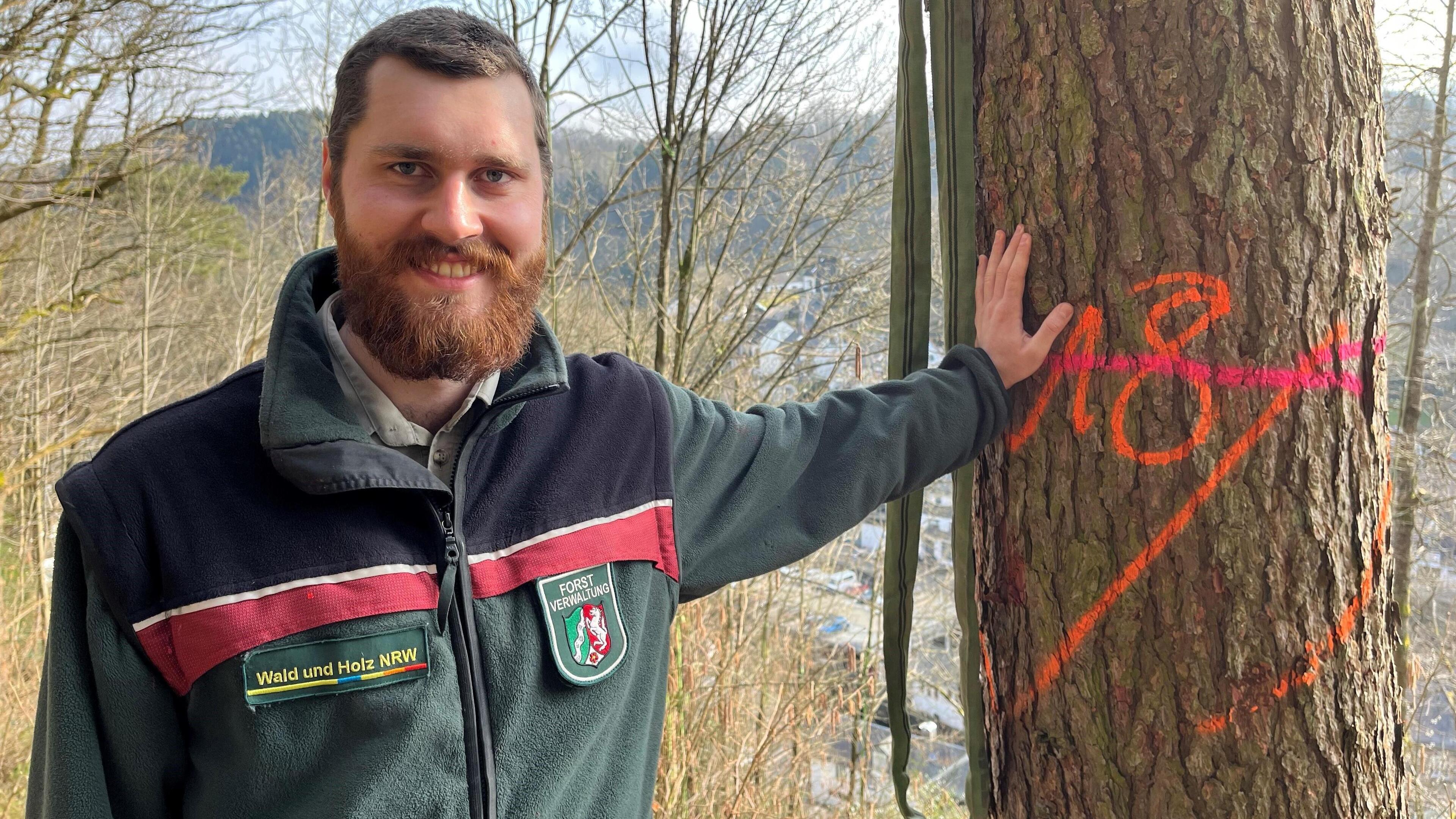 Bäume werden in Monschau mit dem Hubschrauber abtransportiert ...