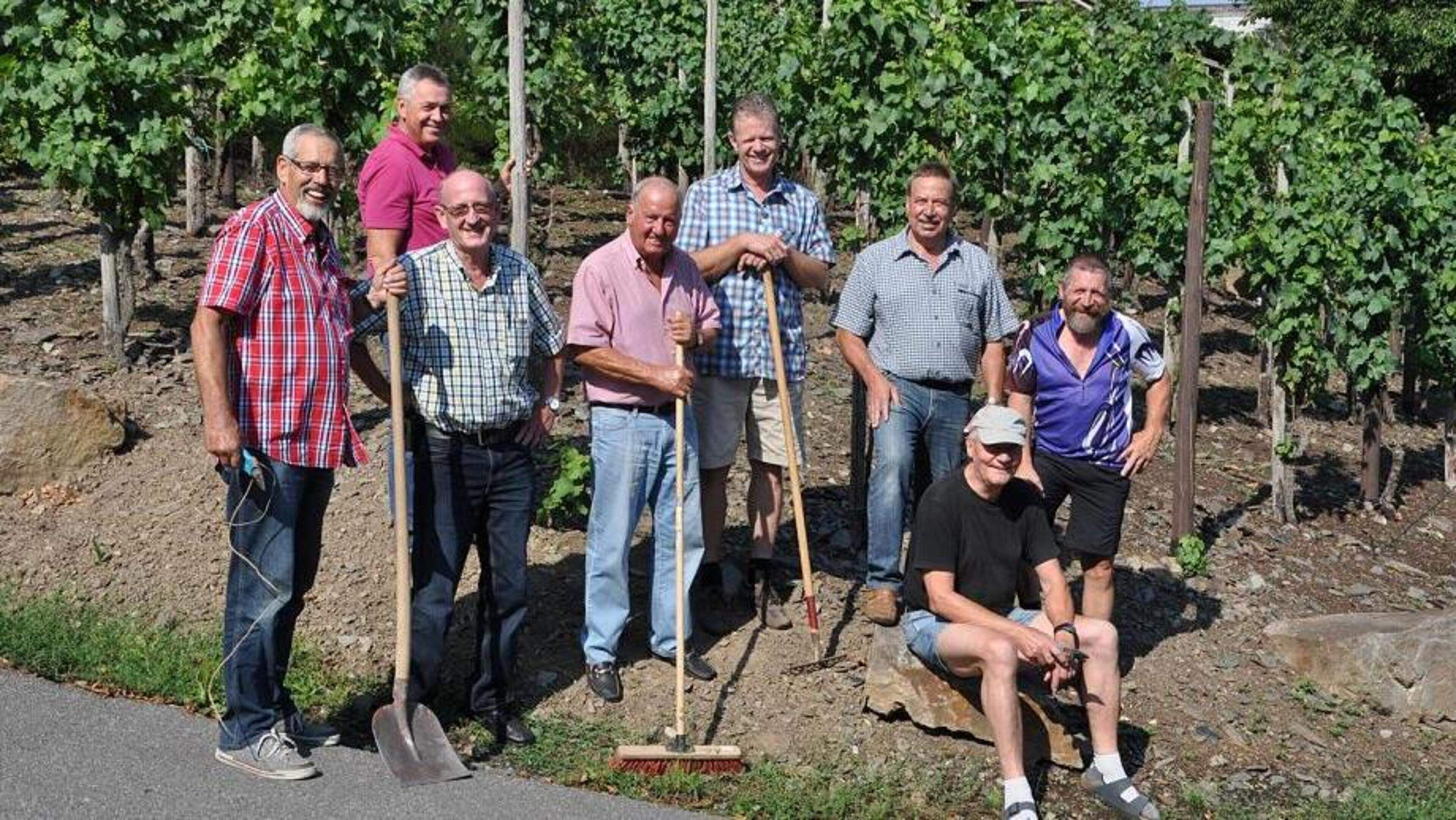 Wein aus der Eifel: Noch heute werden Trauben gelesen | Aachener Zeitung