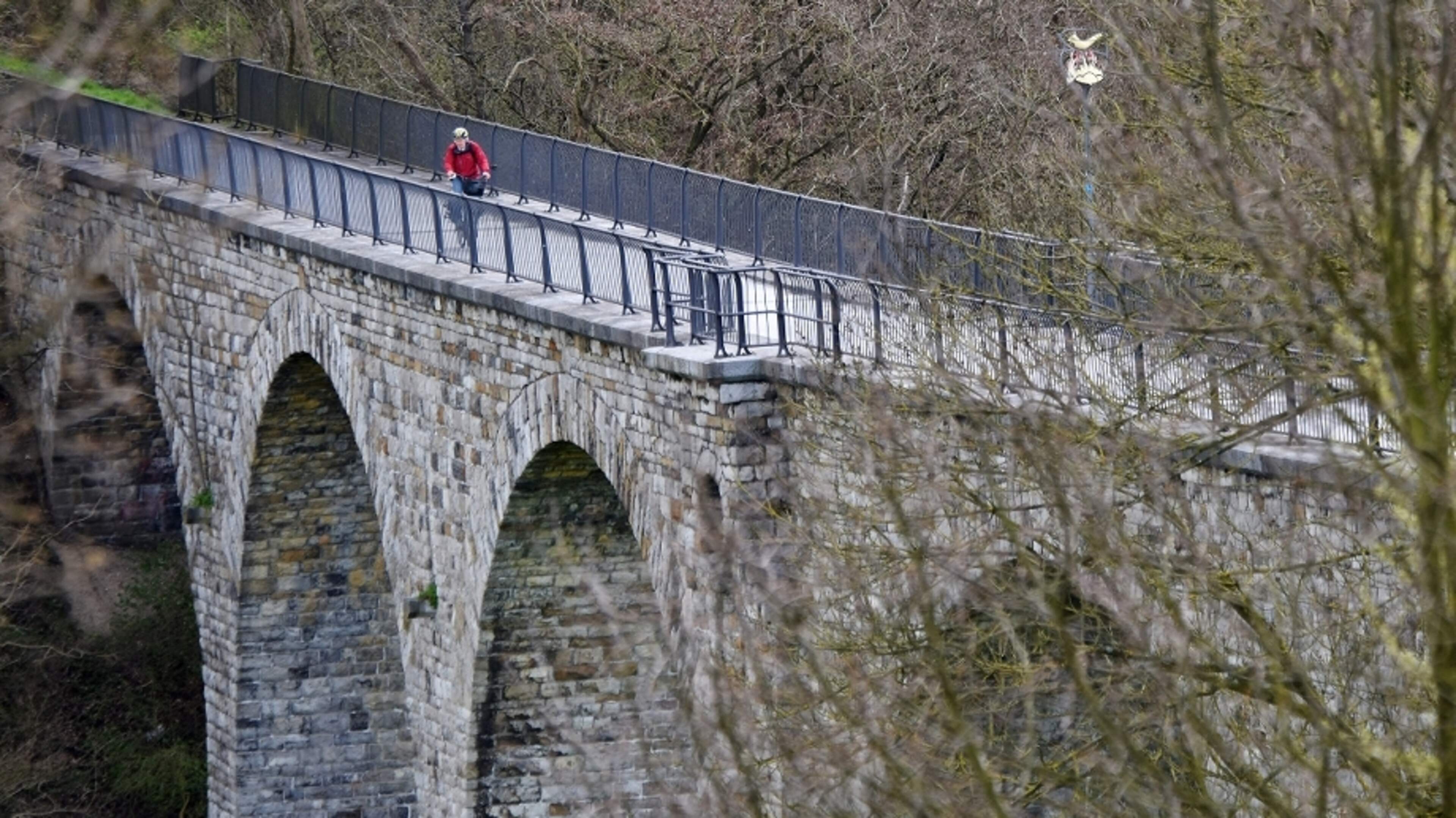 Am Rollefer Berg