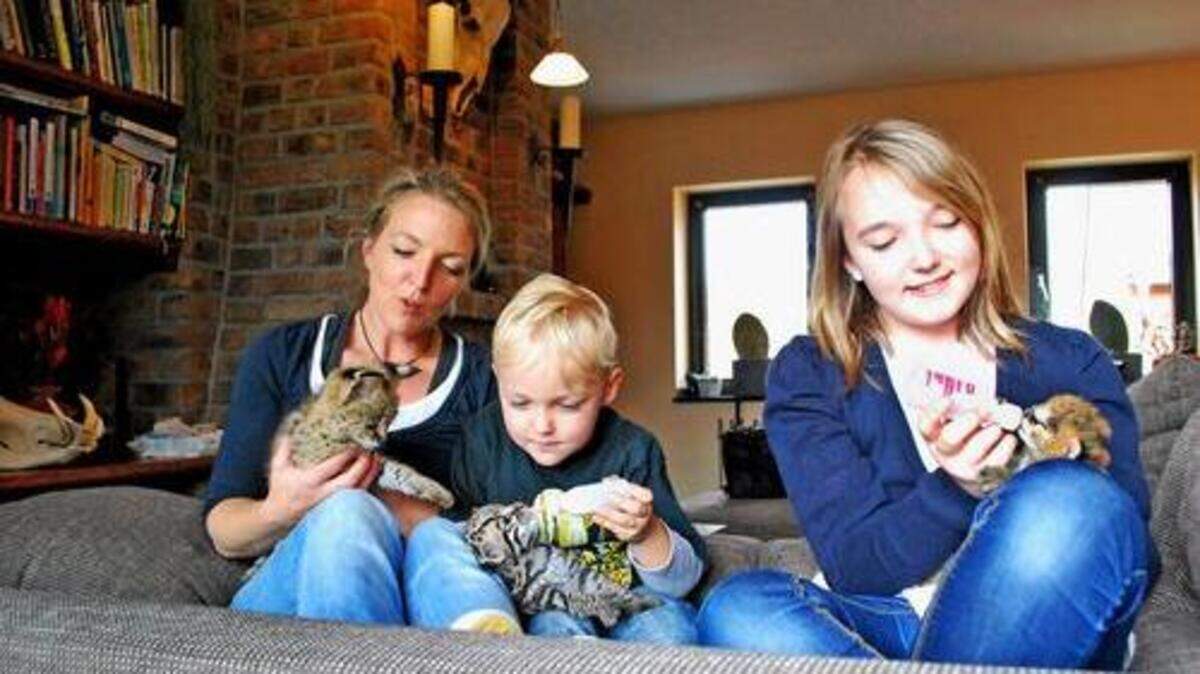 15 Raubkatzen-Babys halten die ganze Familie auf Trab | Aachener Zeitung