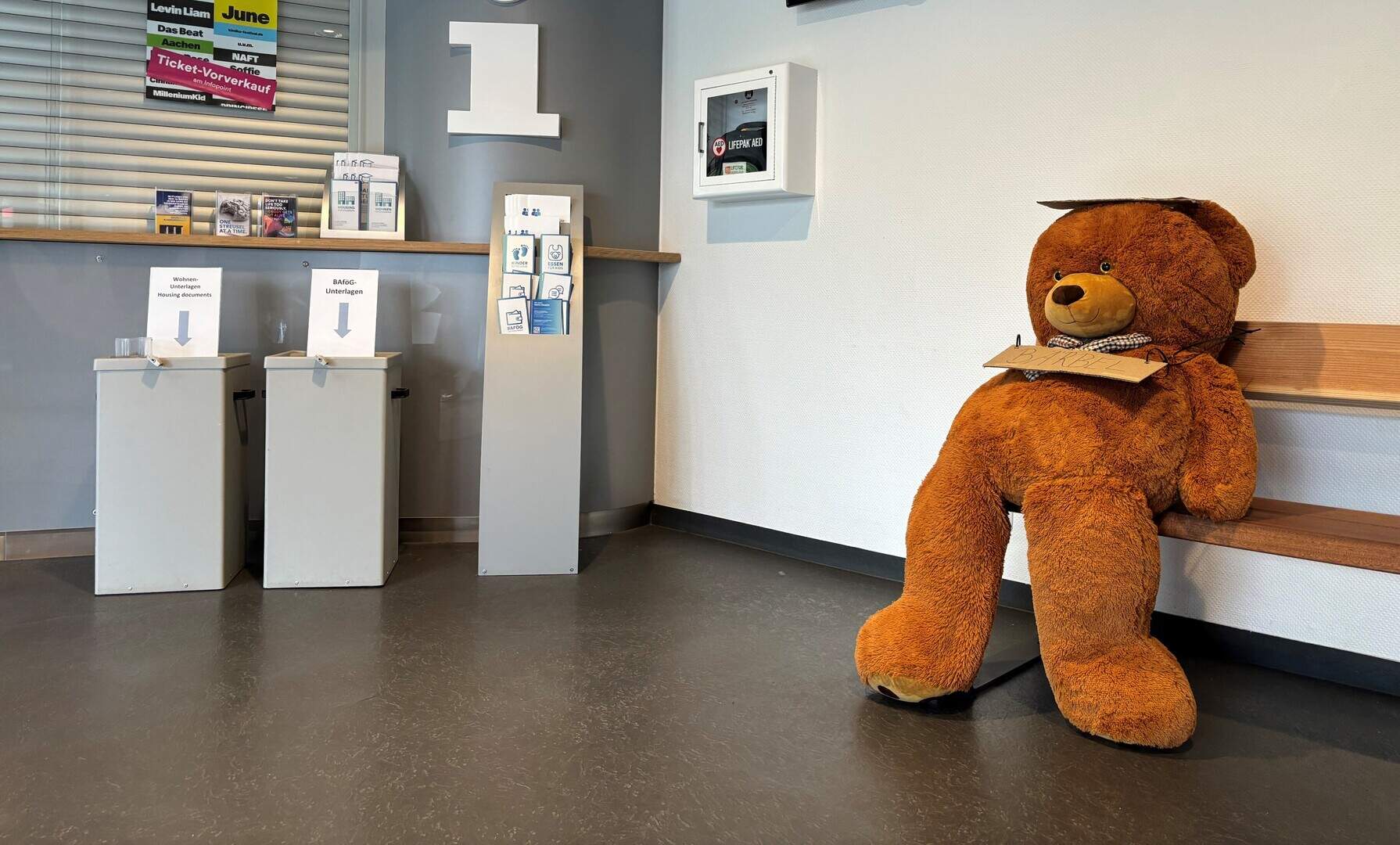 Rätsel um neues Mensa-Maskottchen: Woher kommt der riesige Plüschbär ...