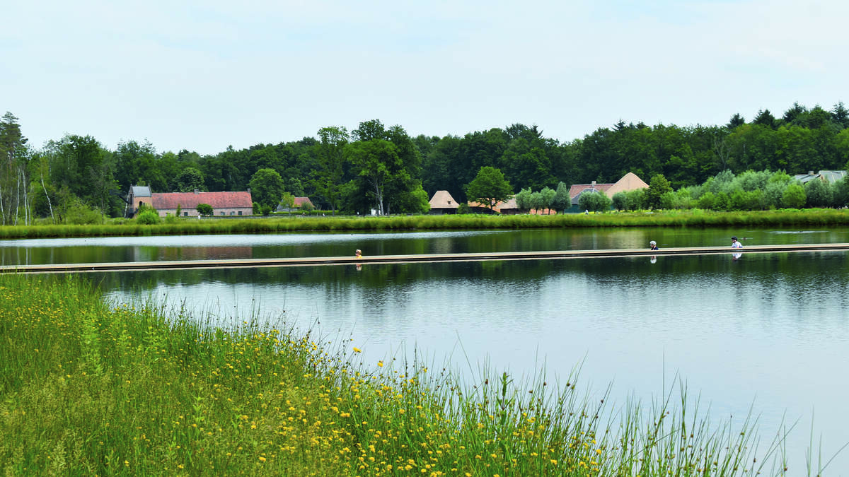 Auf dem Rad durch den See in Belgisch-Limburg | Aachener Zeitung