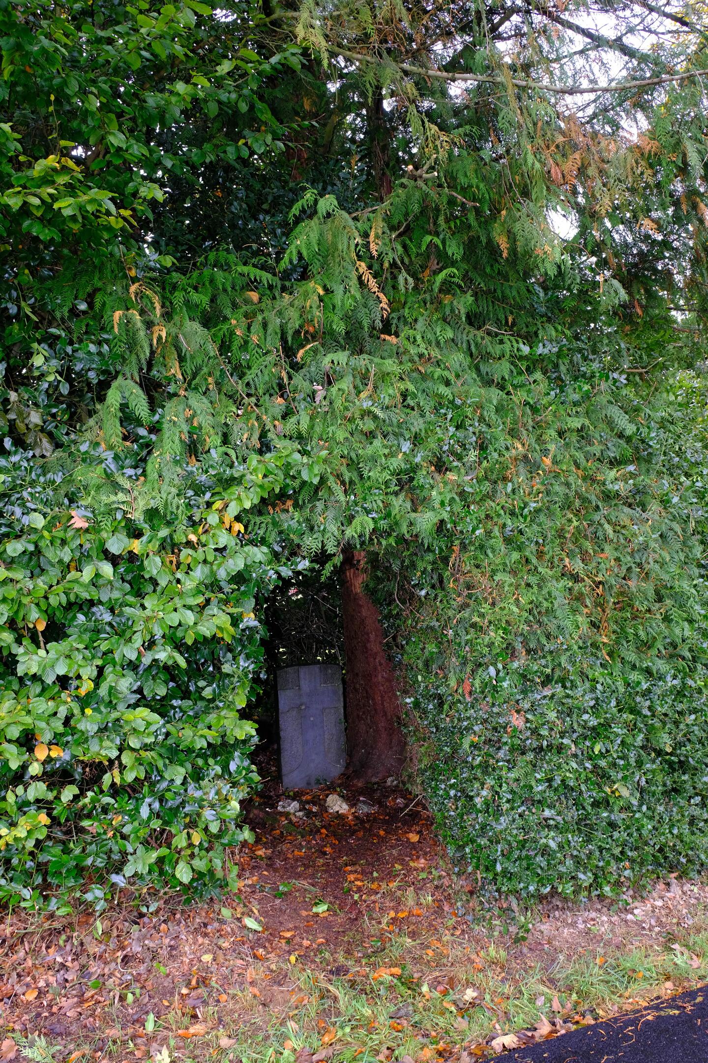 Die Kreuze der Eifel: Ein Mahnmal, das fast niemand kennt | Aachener ...