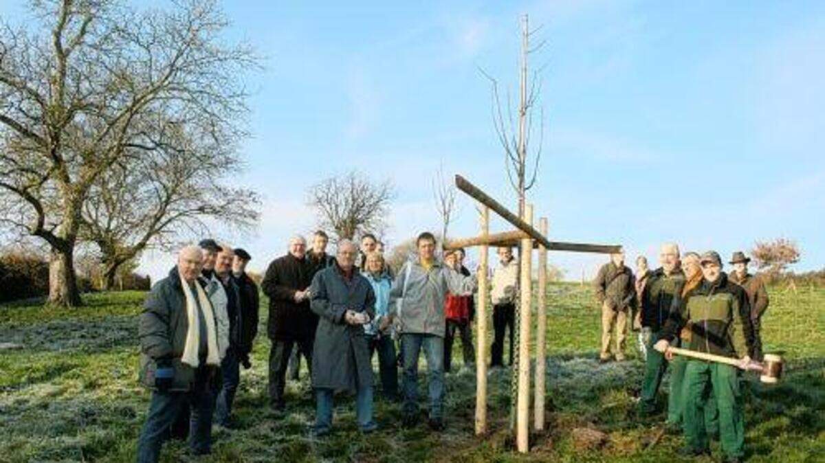 Bäume sollen an Geburt, Taufe oder Hochzeit erinnern | Aachener Zeitung