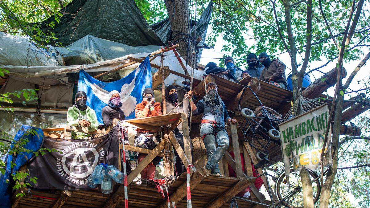 OVG verhandelt mündlich im Streit um Baumhäuser | Aachener Zeitung OVG verhandelt mündlich im Streit um Baumhäuser | Aachener Zeitung