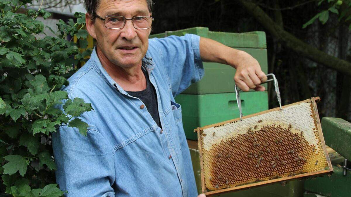 Imker: Wenn Bienen sterben, sind nicht immer die Bauern schuld ...