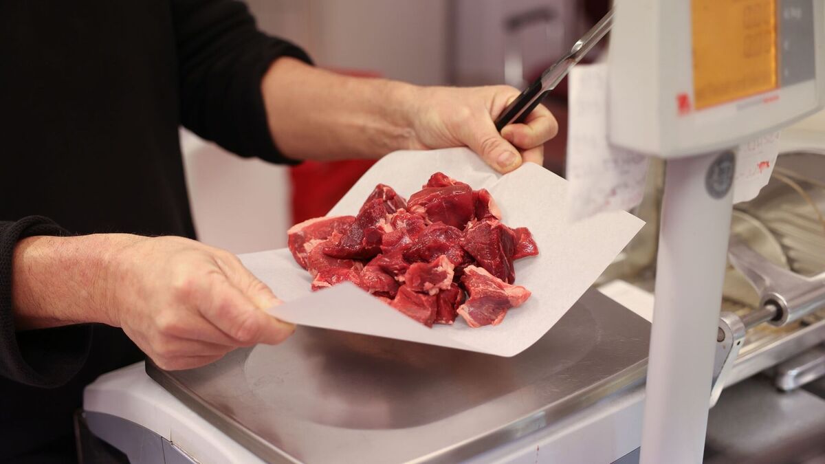 Mehr als 2200 Tonnen Wildfleisch aus NRW-Revieren | Aachener Zeitung