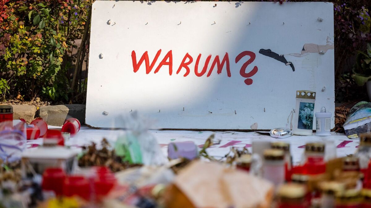Untersuchungsausschuss Solingen Attentat: Fehleranfällige ...